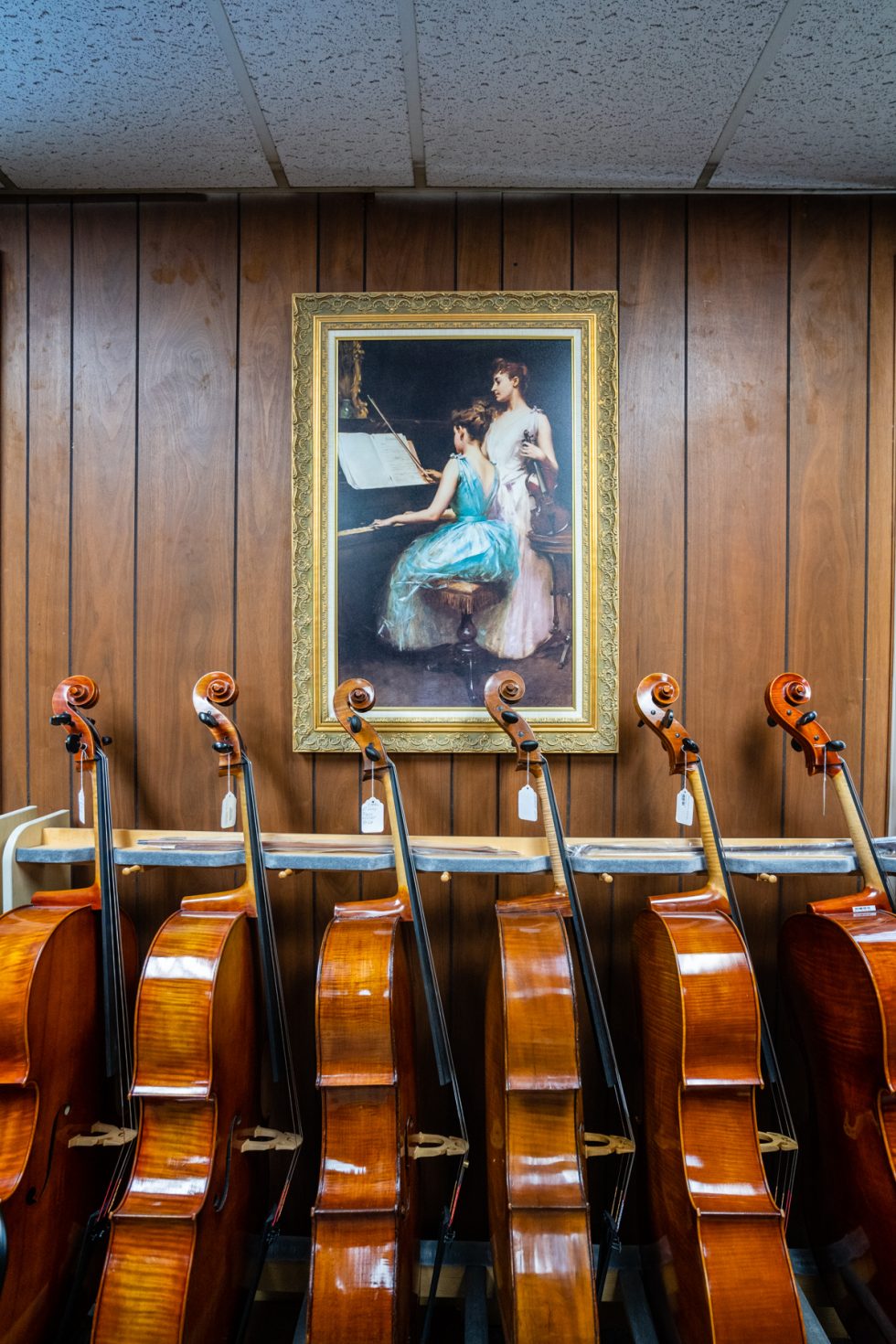 Fine Cellos | Morey's Music Store | Lakewood CA Music Store, Rentals ...